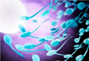 Le perdite da impianto | Tutto Mamma